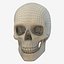 Realistic Human Skull 3d Model