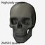 Realistic Human Skull 3d Model