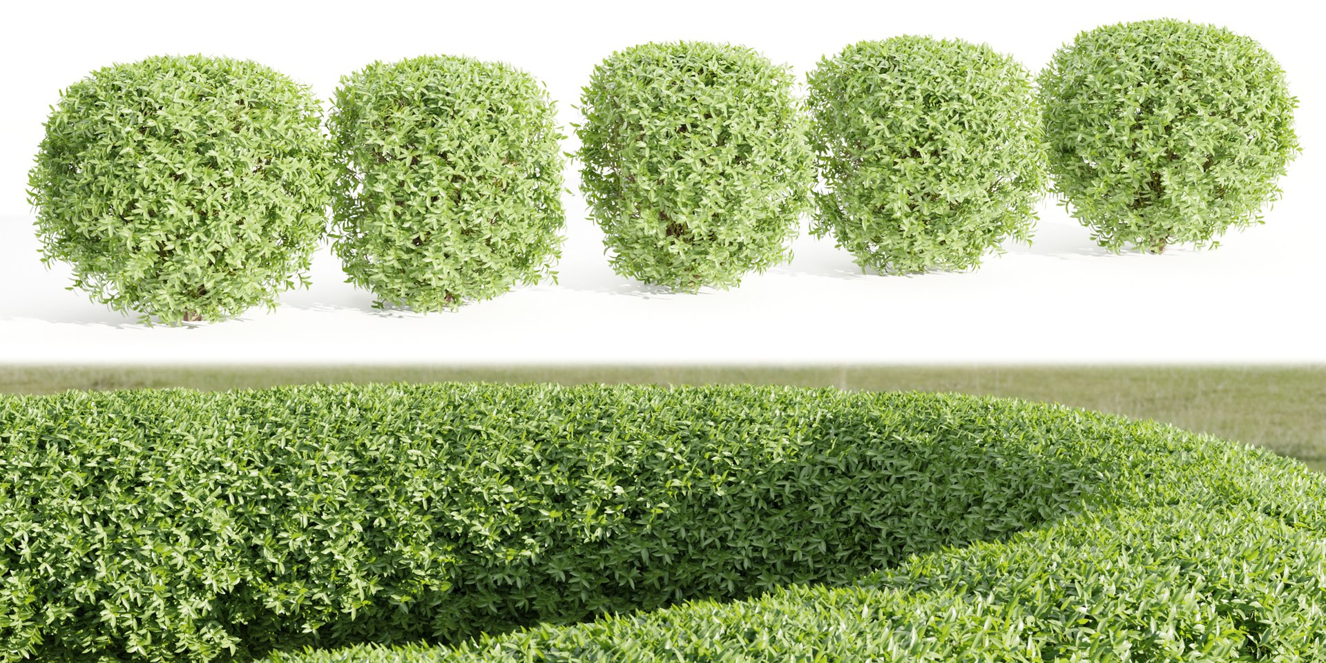 3D Laurel Hedging Bushes vol 162-Blender model - TurboSquid 2154533