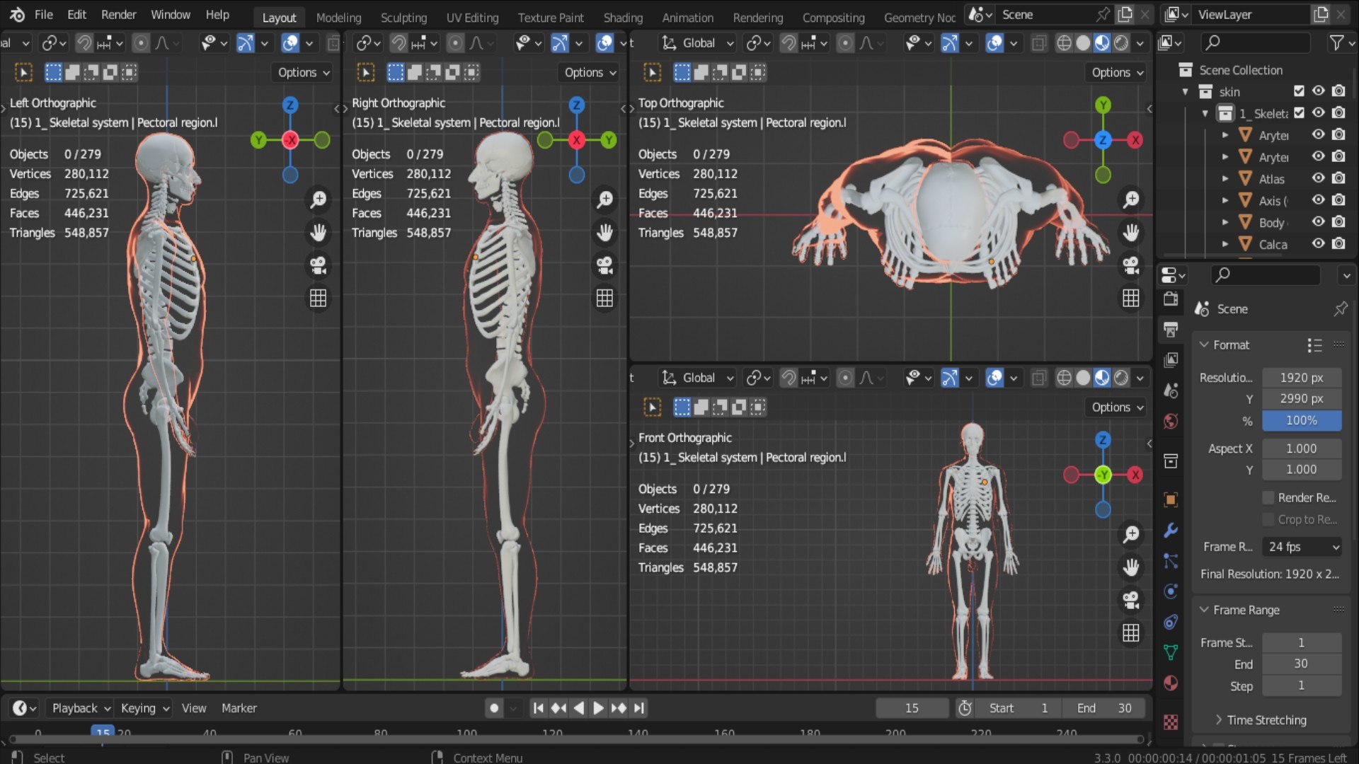 Complete Homan Body Anatomy Skeletal Skeleton Muscle Cardiovascular ...