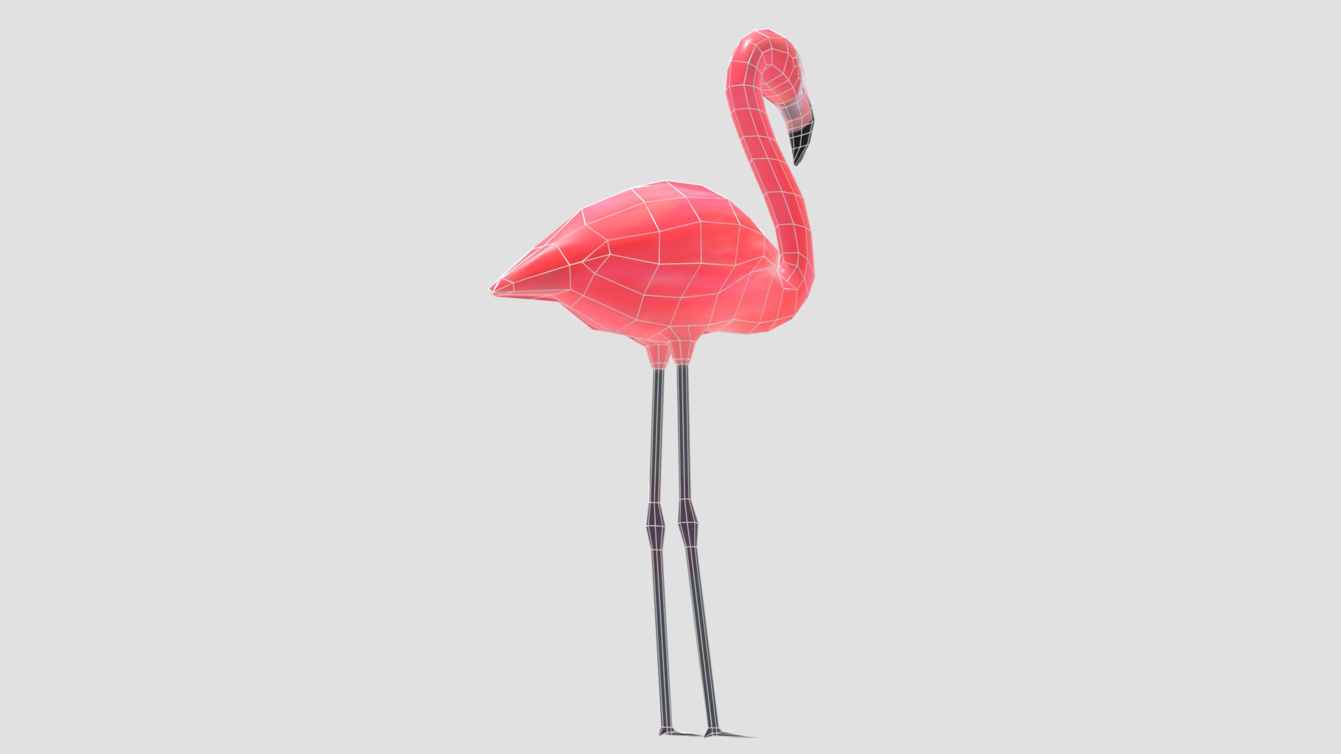 Flamingo 3D Model - TurboSquid 2000532