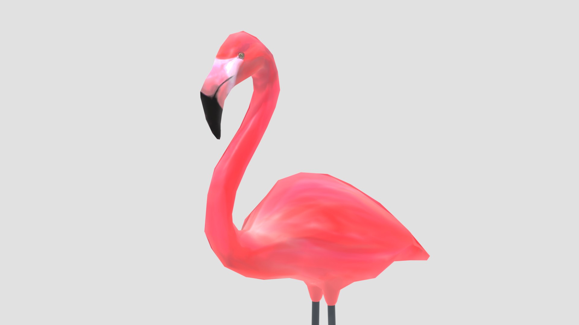 Flamingo 3D Model - TurboSquid 2000532