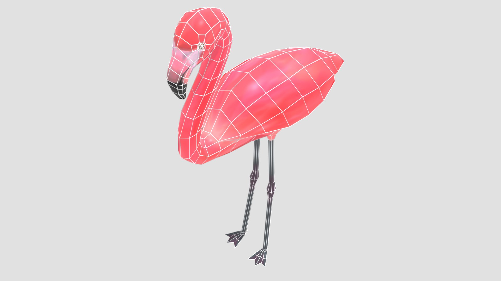 Flamingo 3D Model - TurboSquid 2000532