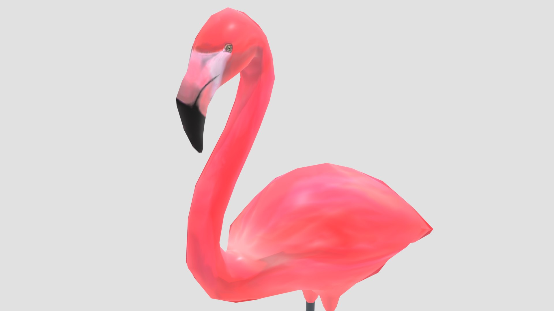 Flamingo 3D Model - TurboSquid 2000532