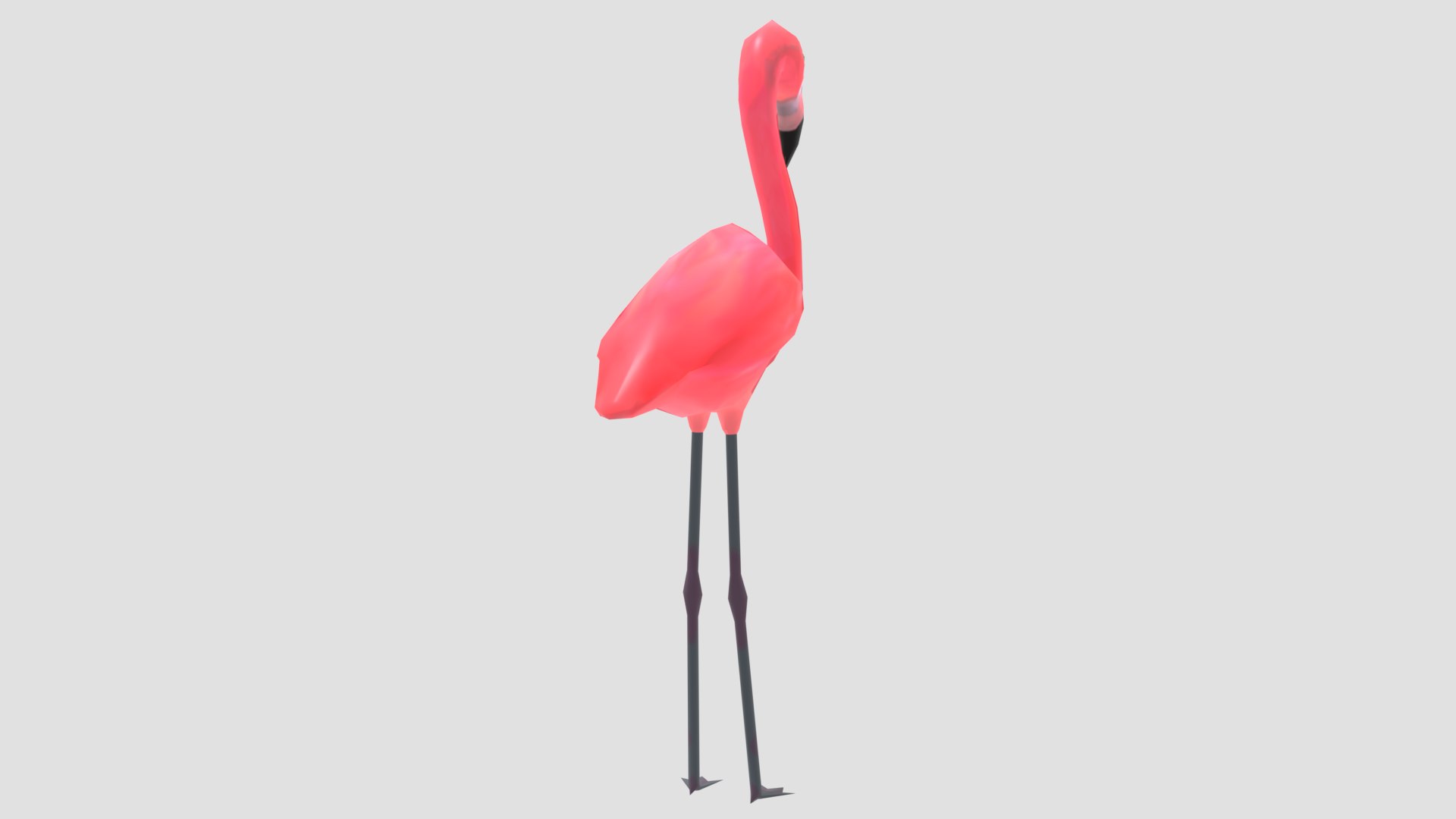 Flamingo 3D Model - TurboSquid 2000532