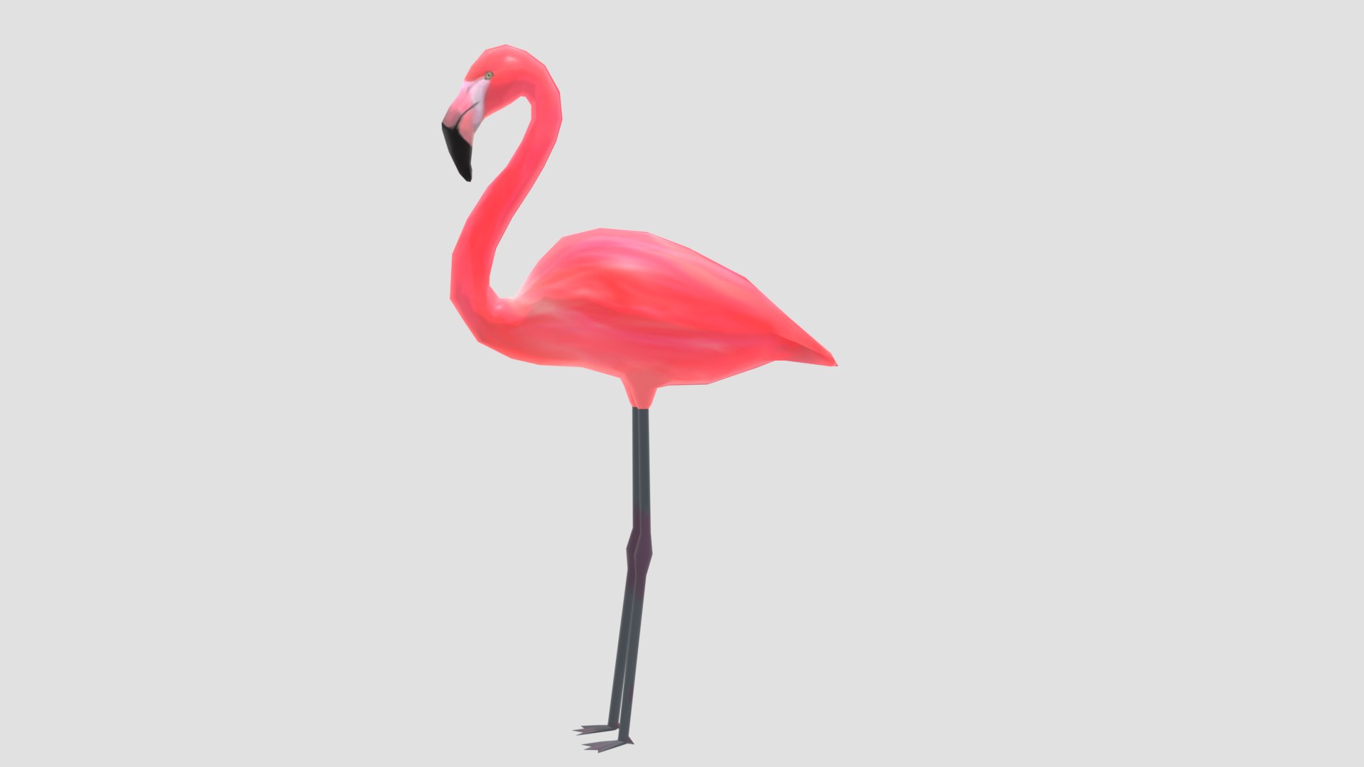 Flamingo 3D Model - TurboSquid 2000532
