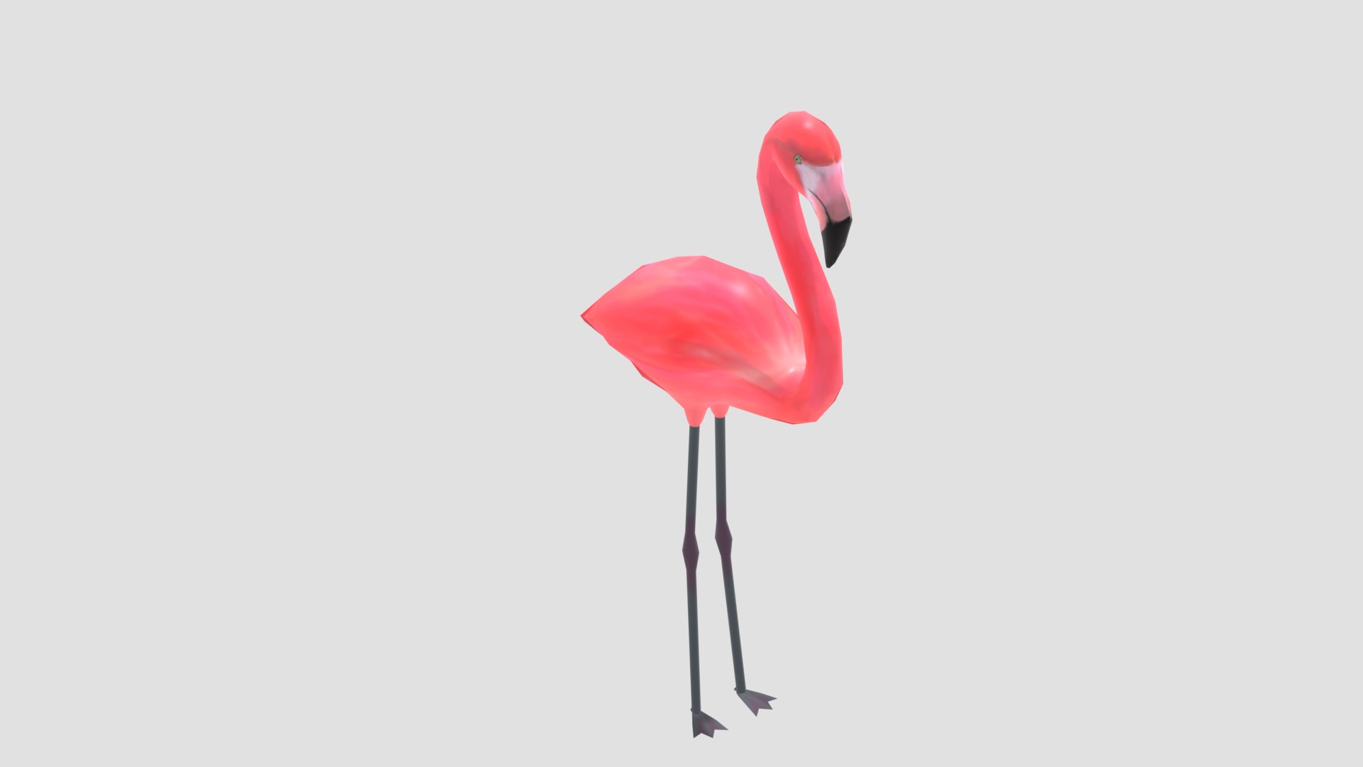 Flamingo 3D Model - TurboSquid 2000532