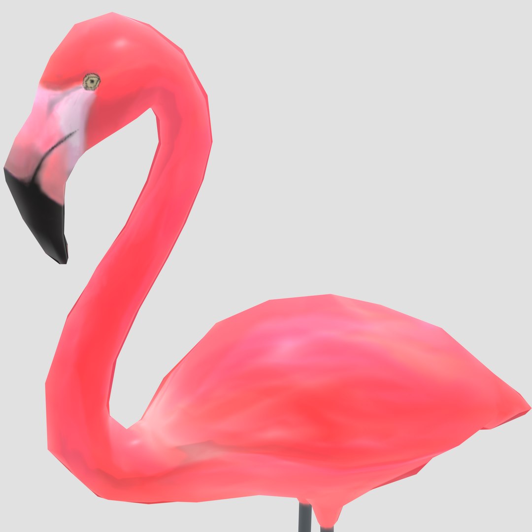 Flamingo 3D Model - TurboSquid 2000532