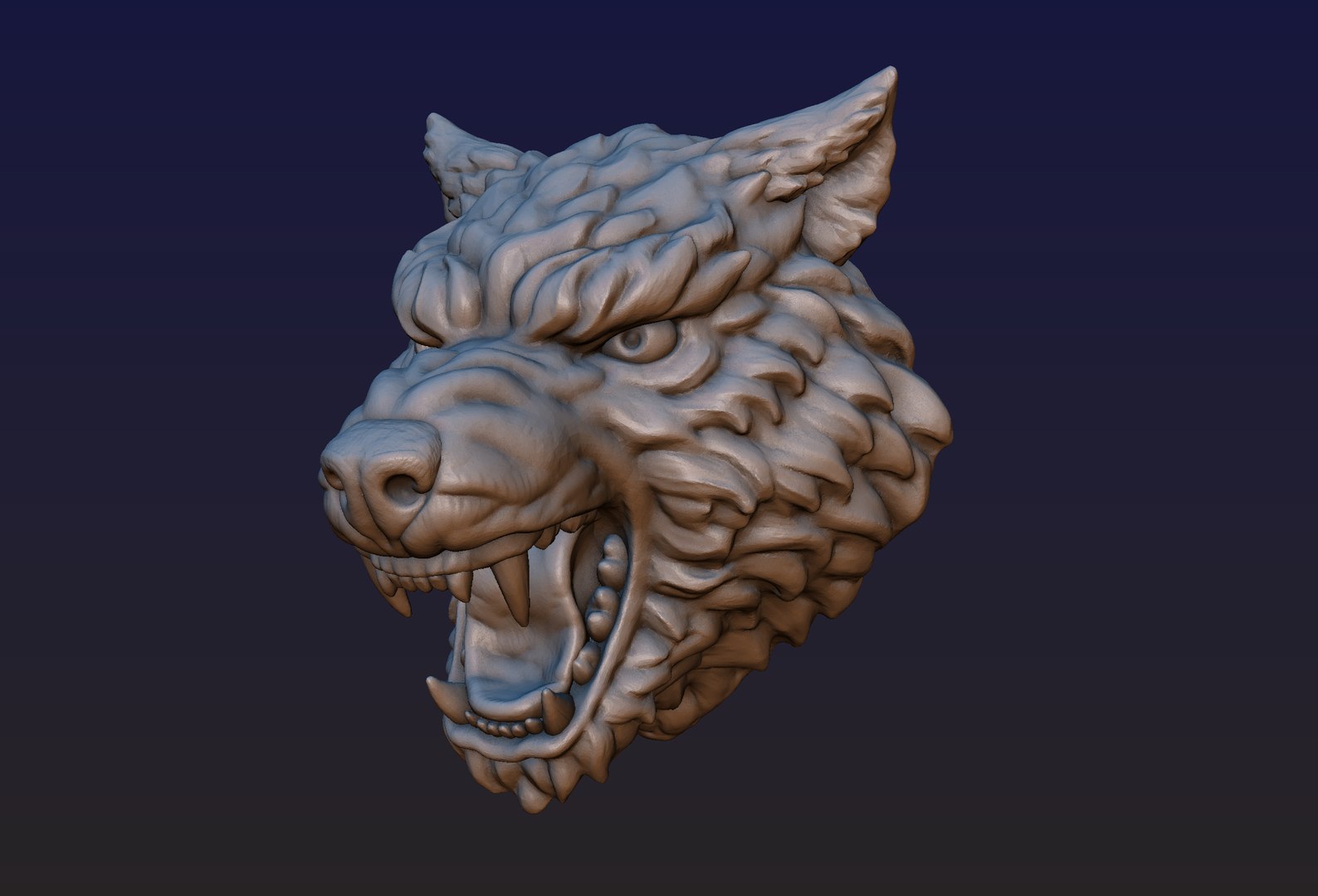 3D Wolf head model - TurboSquid 1874601