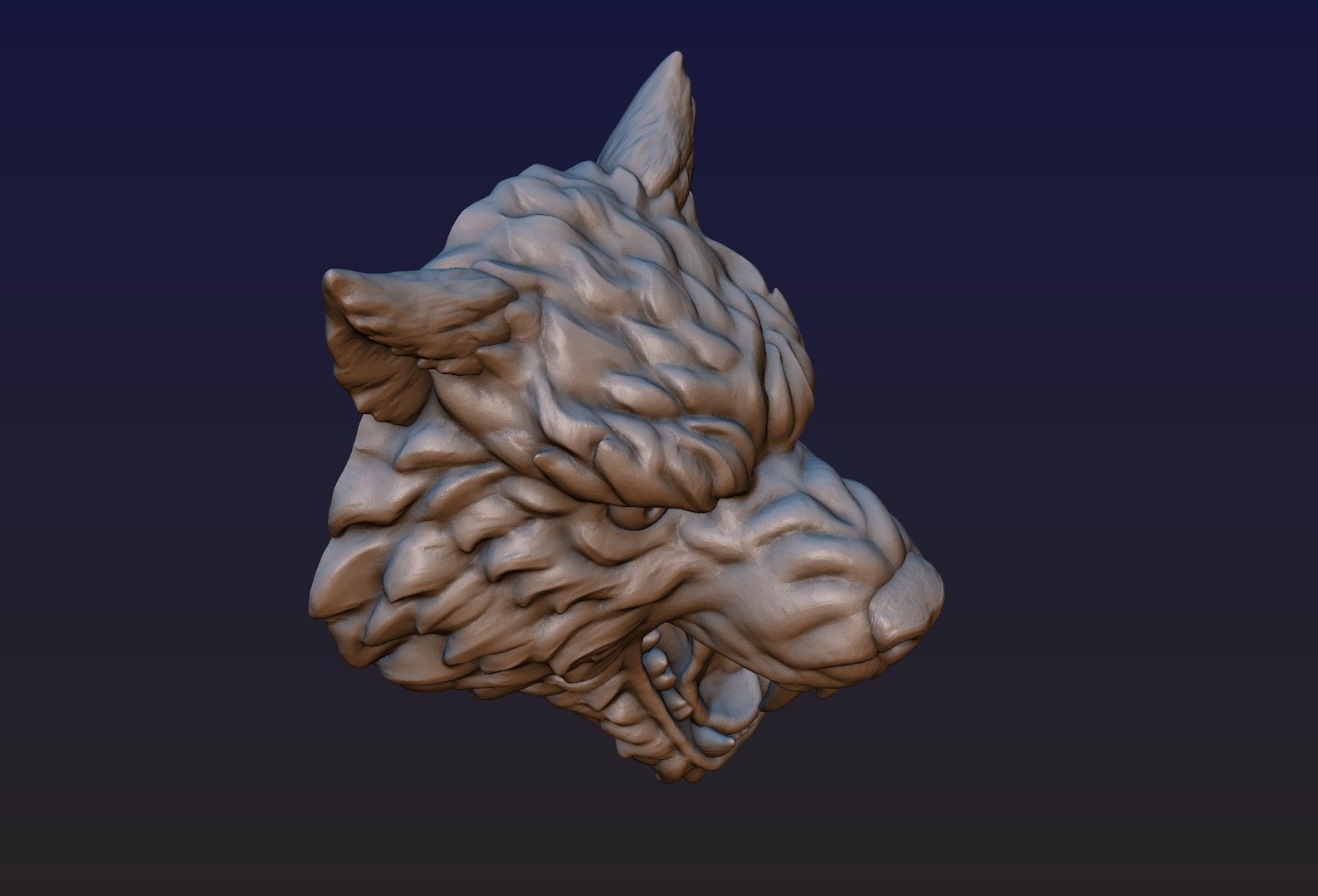 3D Wolf head model - TurboSquid 1874601