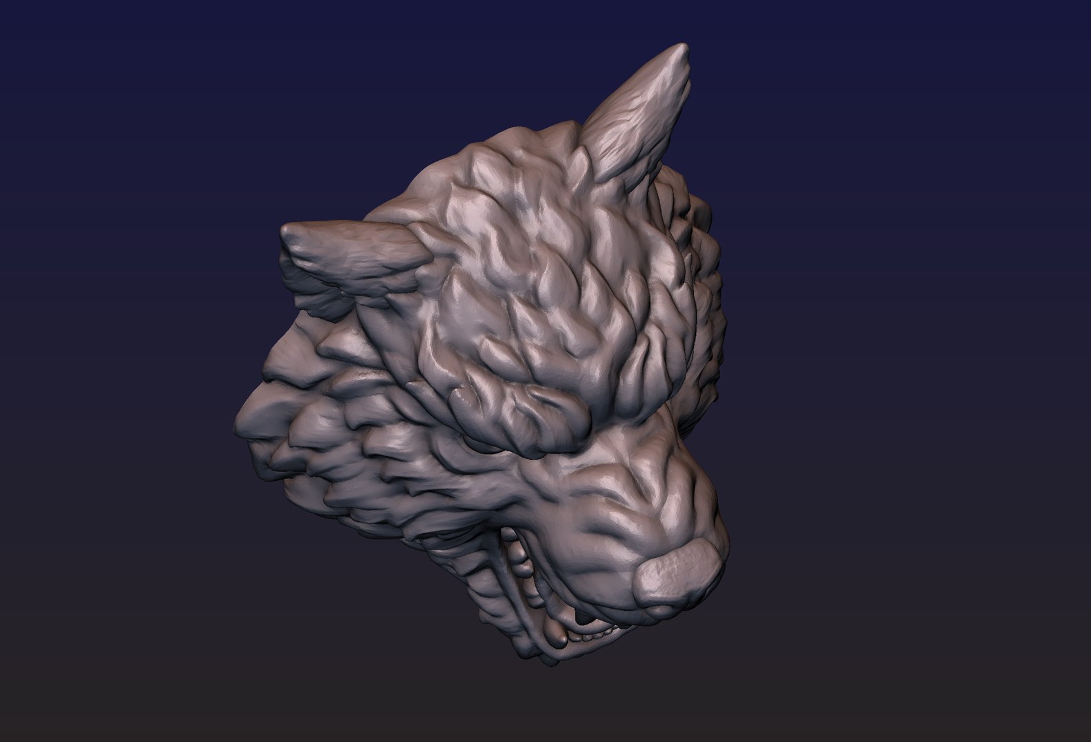 3D Wolf head model - TurboSquid 1874601
