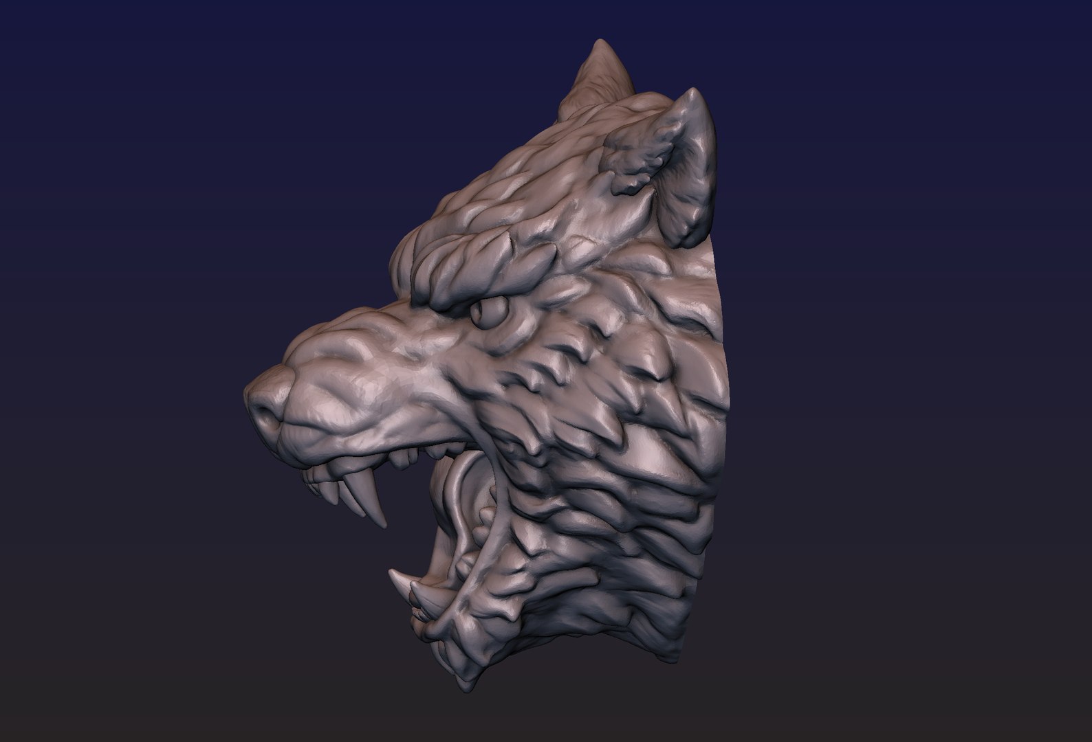 3D Wolf head model - TurboSquid 1874601