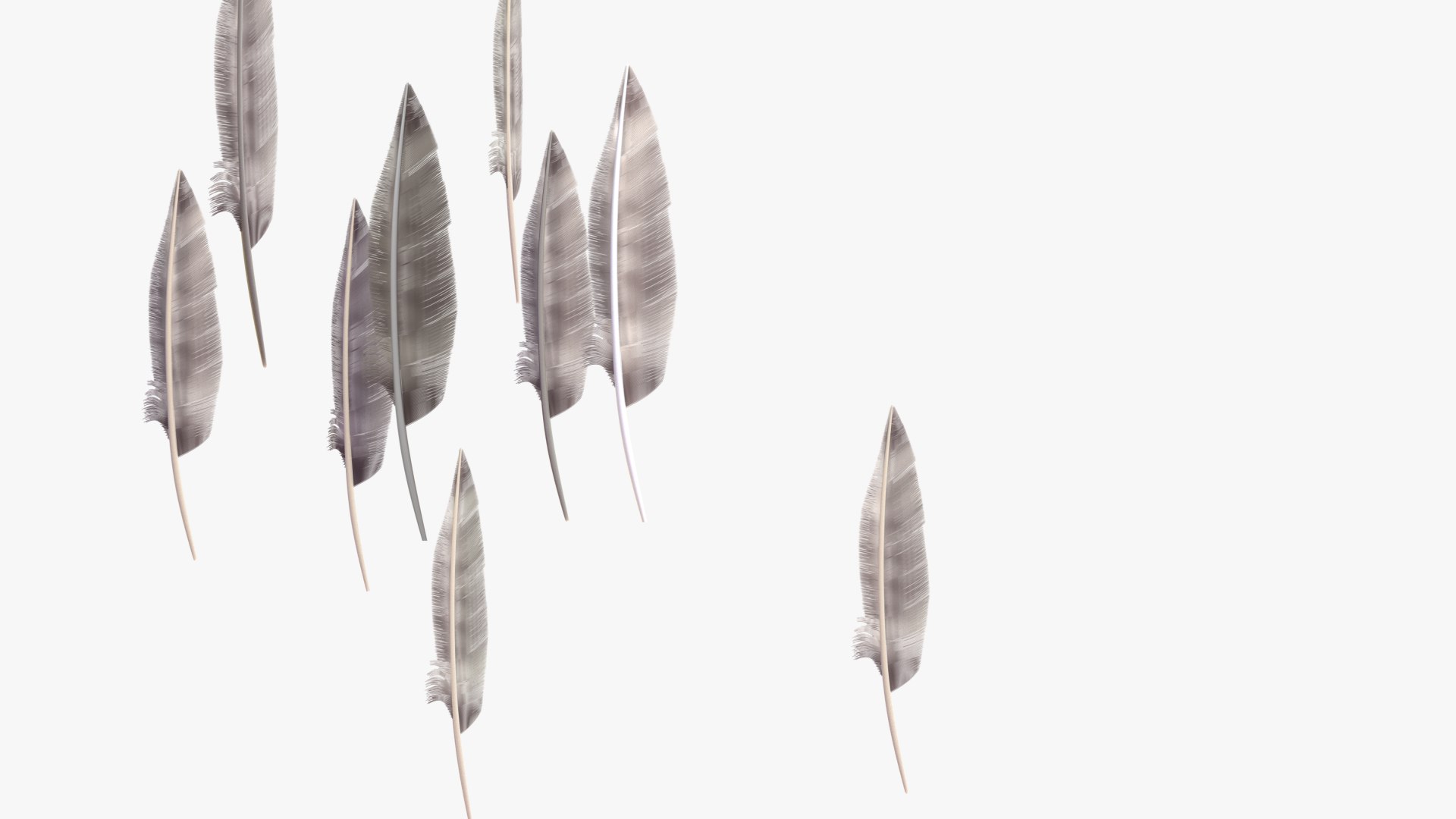 3D Model Goose Wing Feather - TurboSquid 2241720
