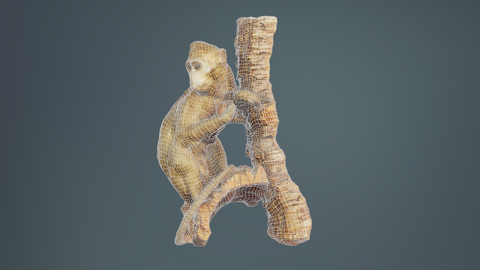 3D Babboon Papio Remastered - TurboSquid 2359793