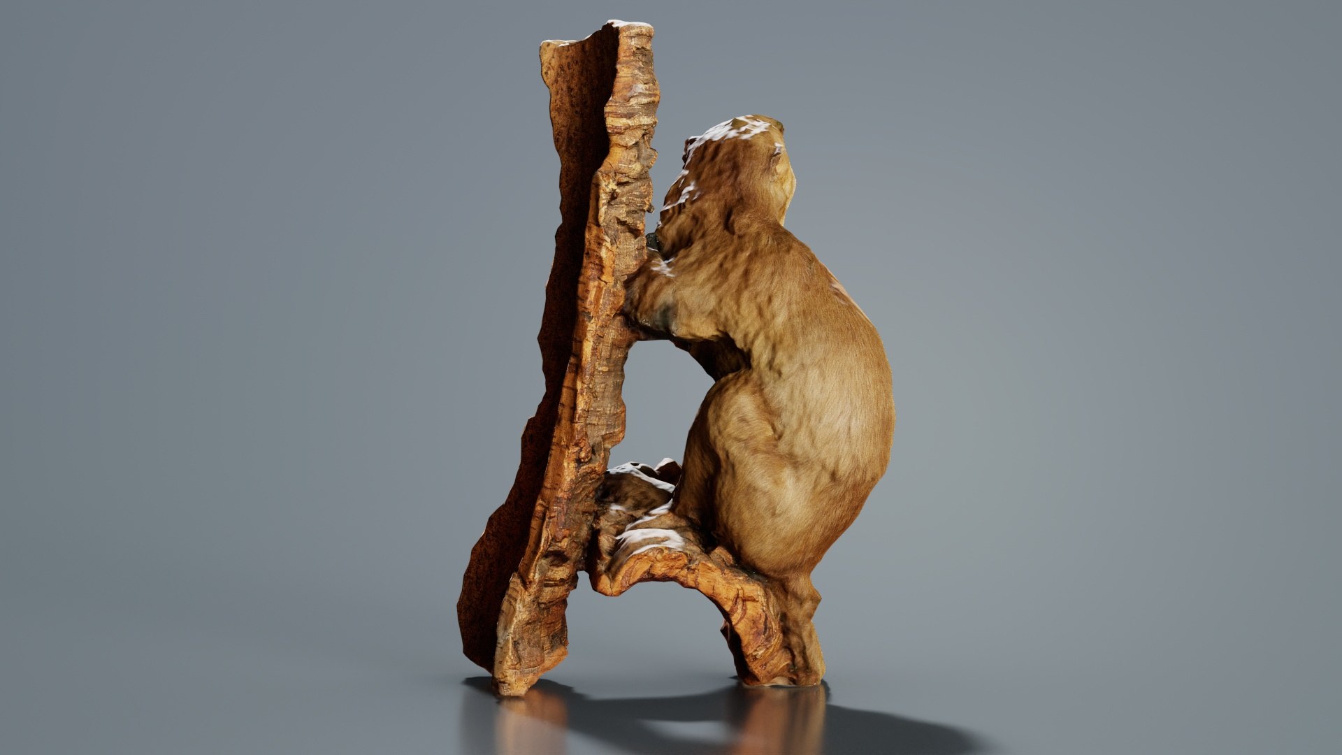 3D Babboon Papio Remastered - TurboSquid 2359793