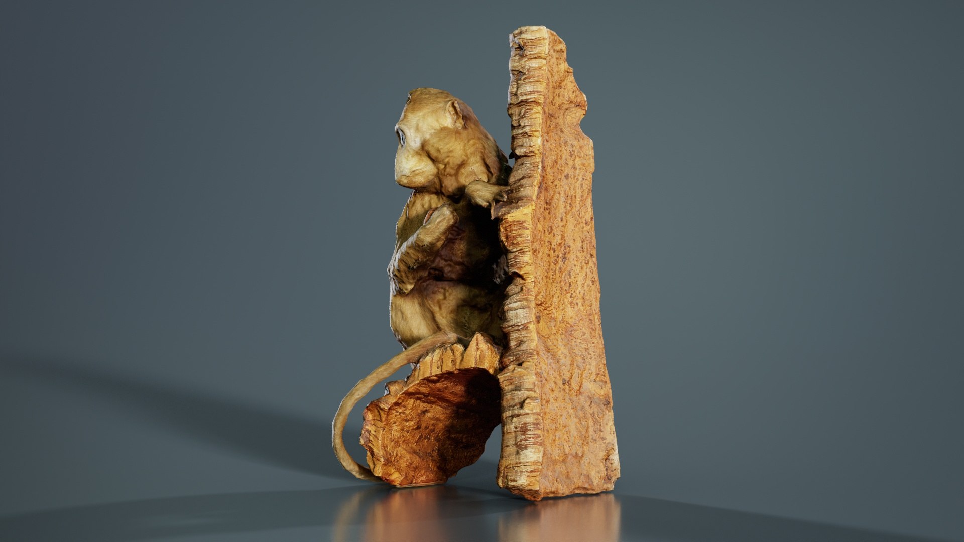 3D Babboon Papio Remastered - TurboSquid 2359793