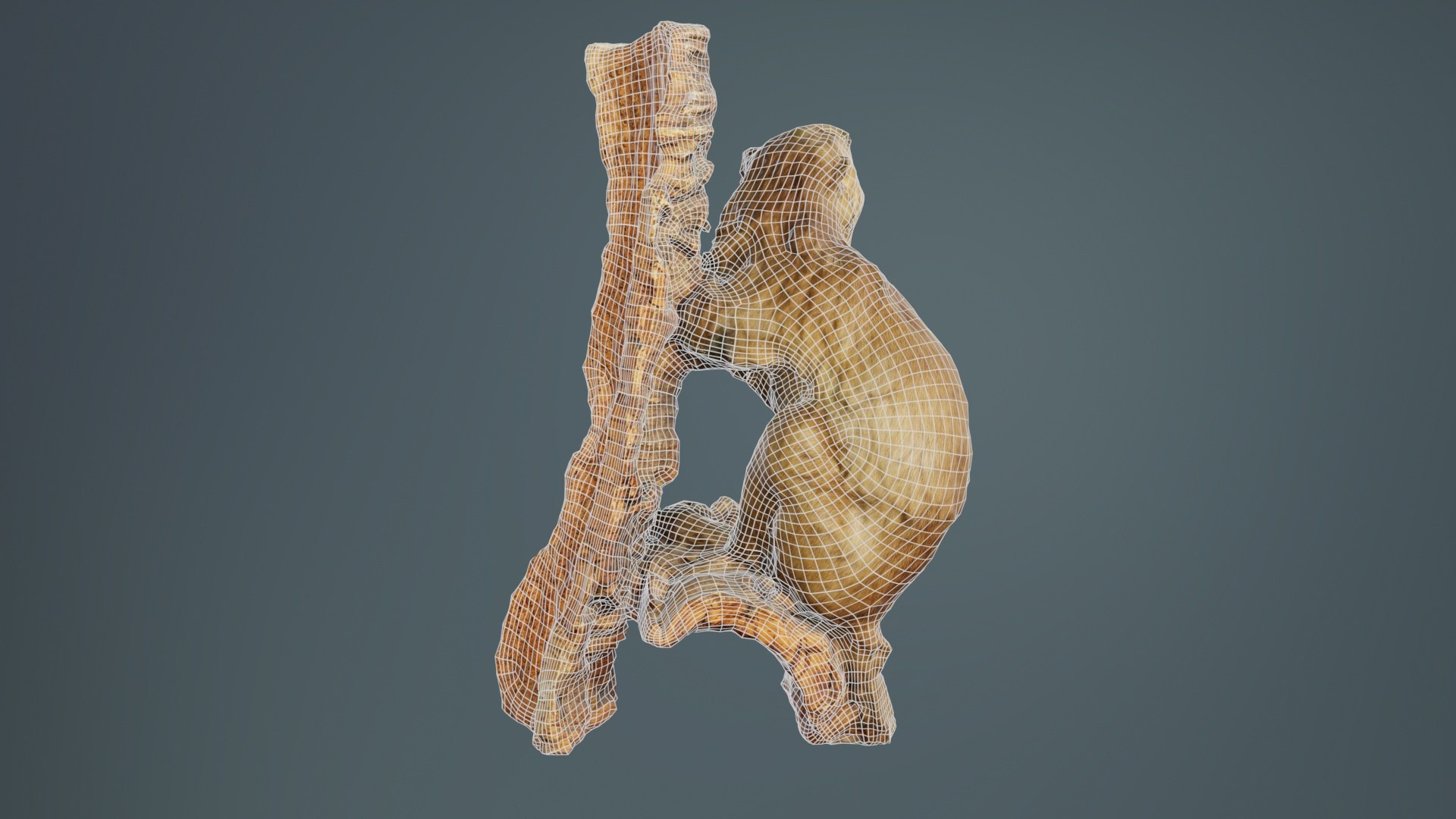 3D Babboon Papio Remastered - TurboSquid 2359793