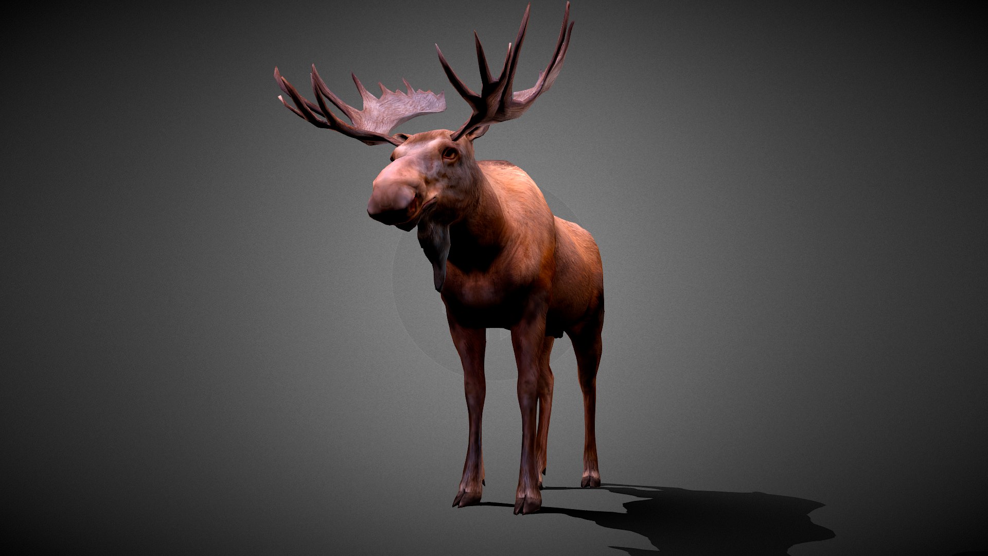 Realistic Animals PACK 3D Model - TurboSquid 2385851