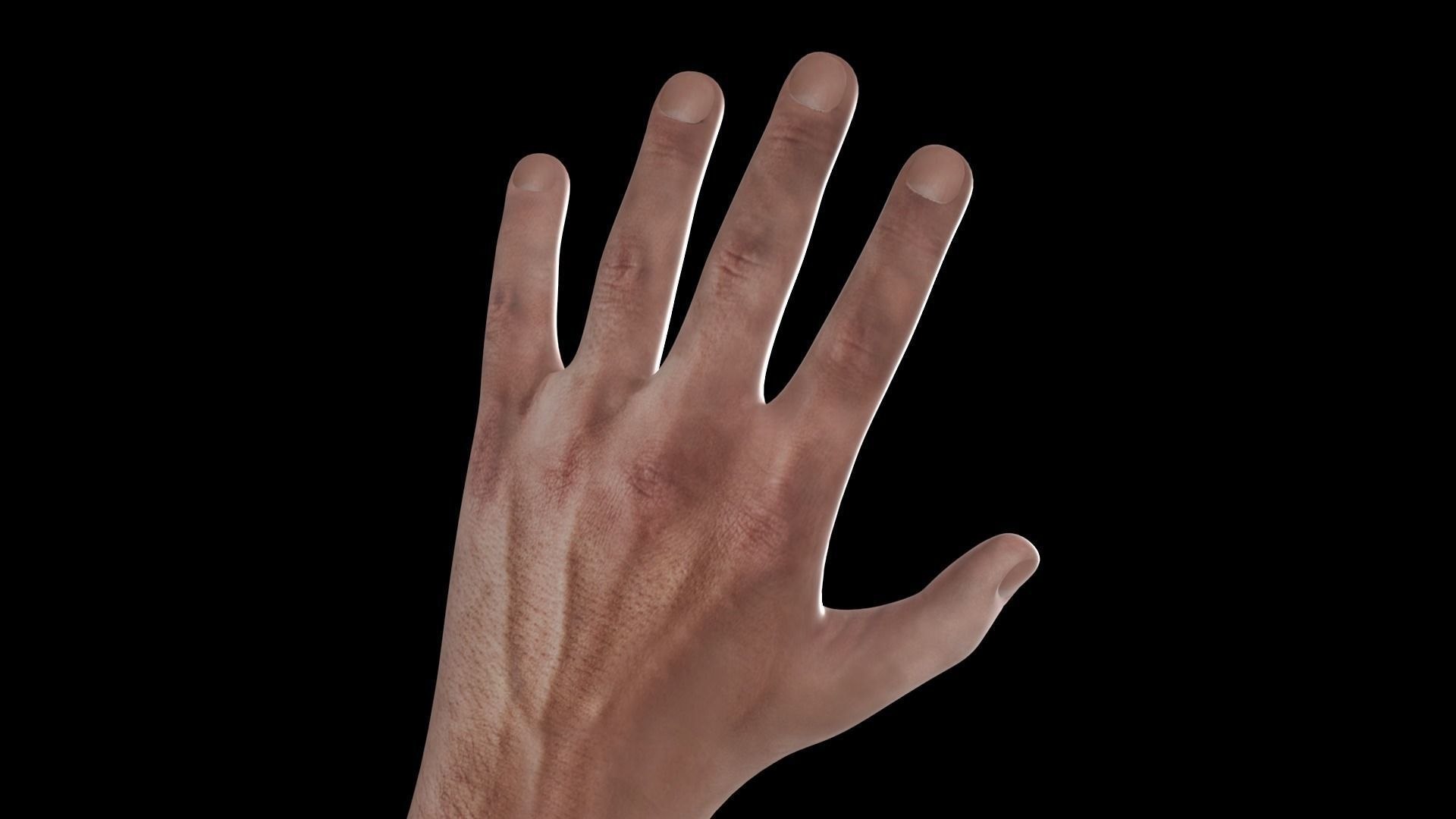 Man Hand 3D Model - TurboSquid 2133813