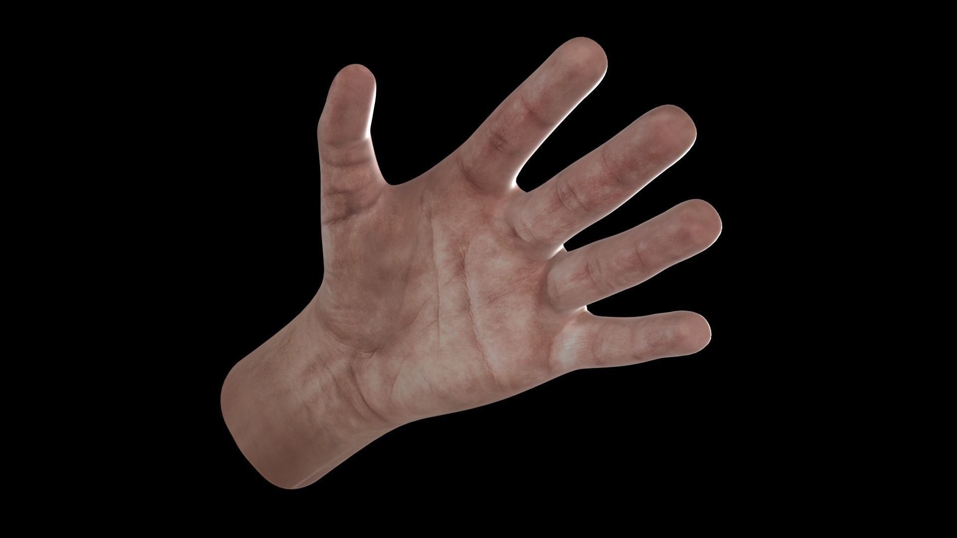 Man Hand 3D Model - TurboSquid 2133813