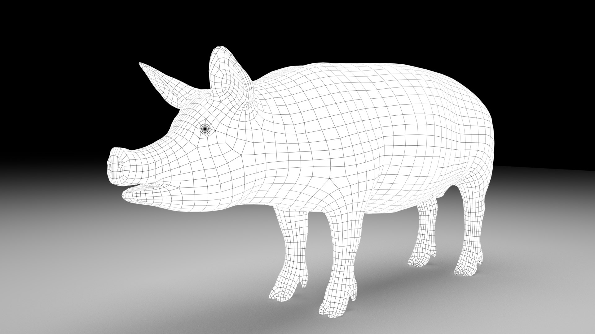 3D Model 6 Different Modeled - TurboSquid 1614216