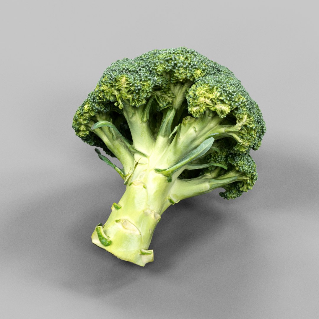 3d Model Photorealistic Broccoli