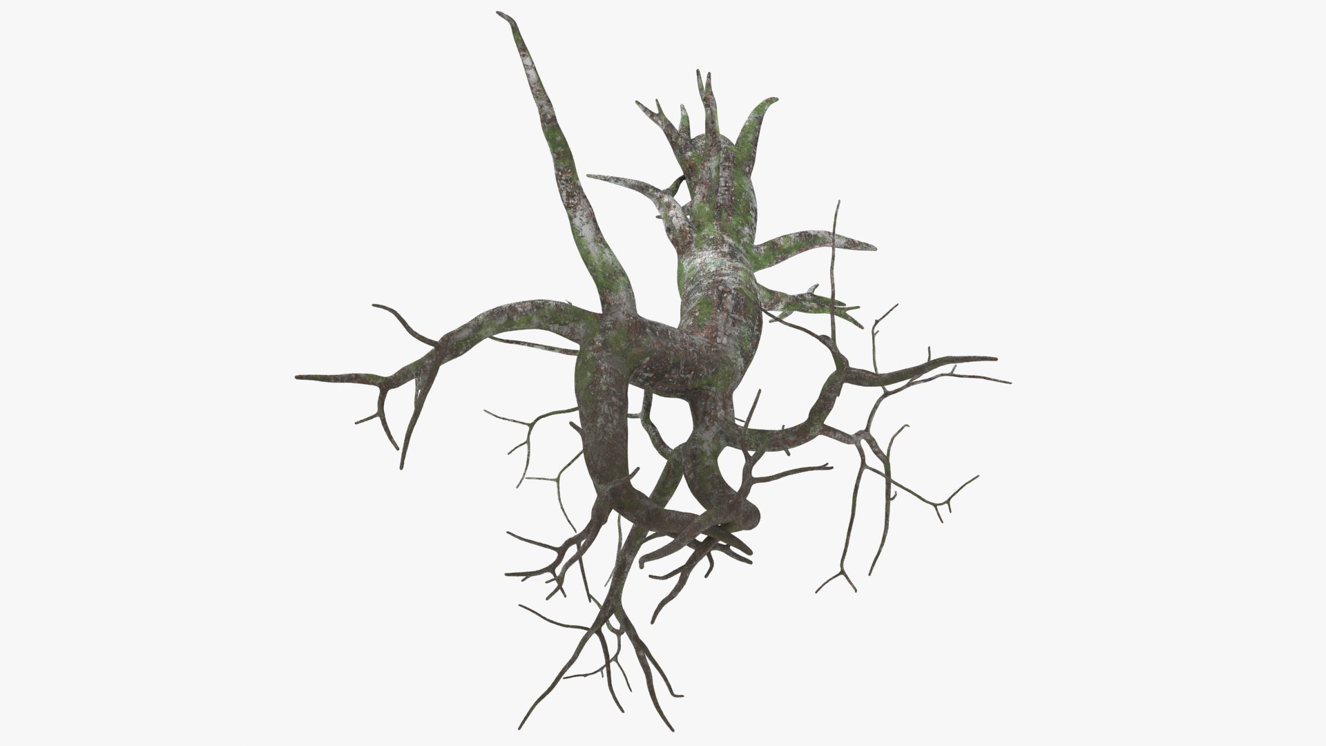 3D Tree Root 03 Color 2 Model - TurboSquid 2148524