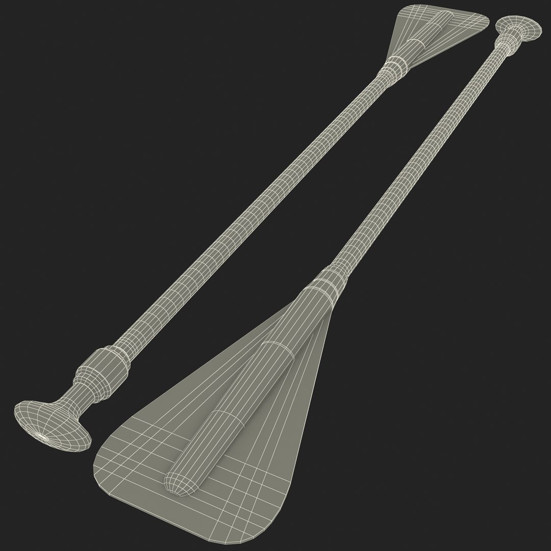 3d Model Bic Sport Fiber Paddle