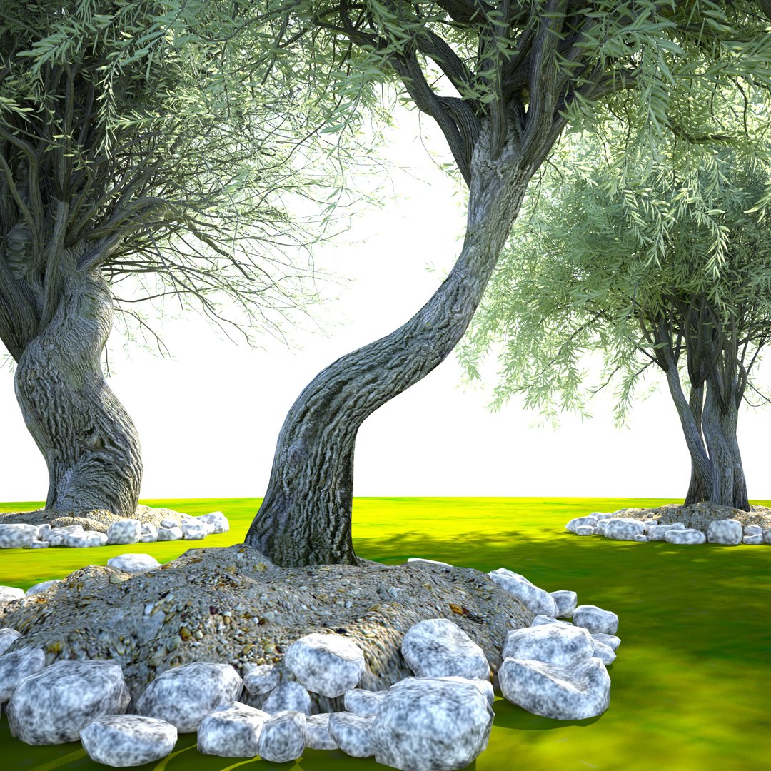 Max Olea Tree Realistic