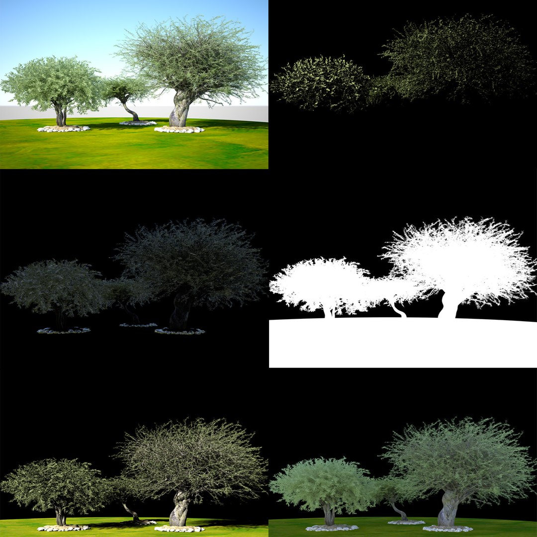 Max Olea Tree Realistic