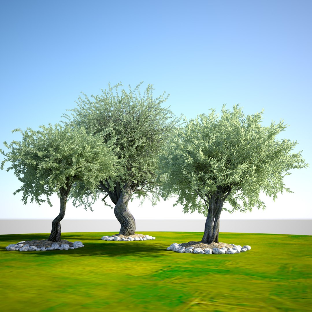 Max Olea Tree Realistic