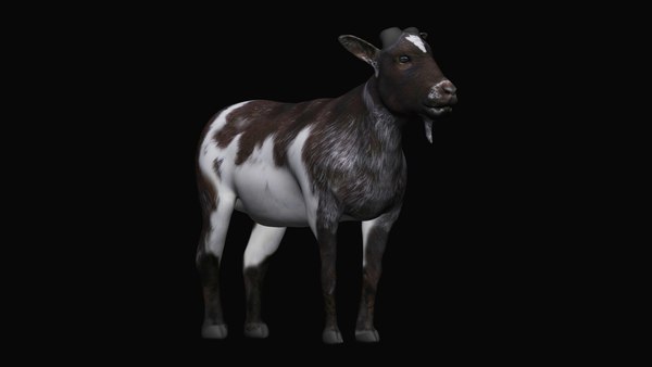 Fully rigged goat 3D model - TurboSquid 1697435