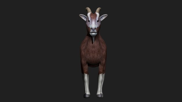 Fully rigged goat 3D model - TurboSquid 1697435