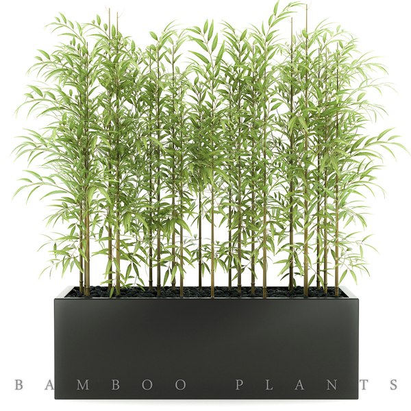 Bamboo 3D Models for Download | TurboSquid