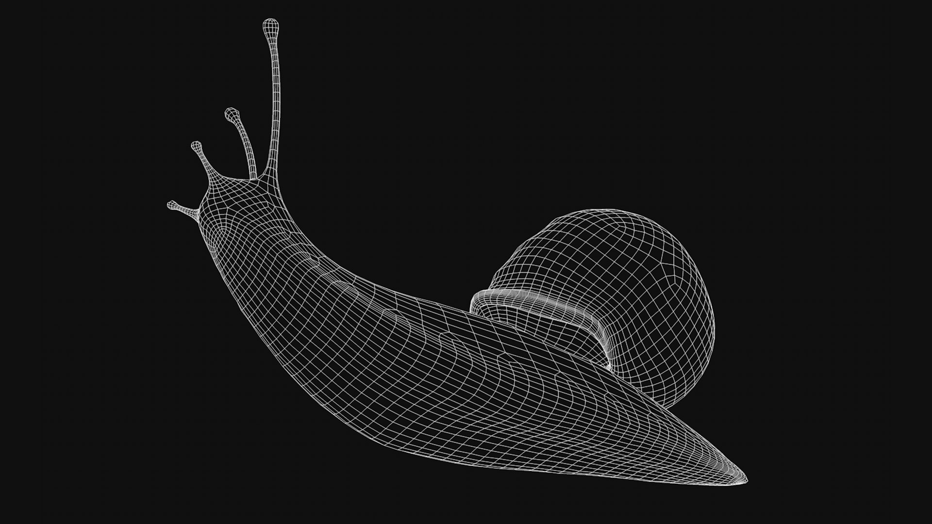3D Model Snail - TurboSquid 1845593