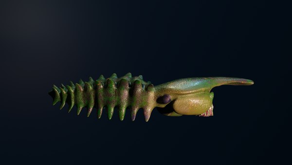 Aegirocassis 3D 모델 - TurboSquid 1922061