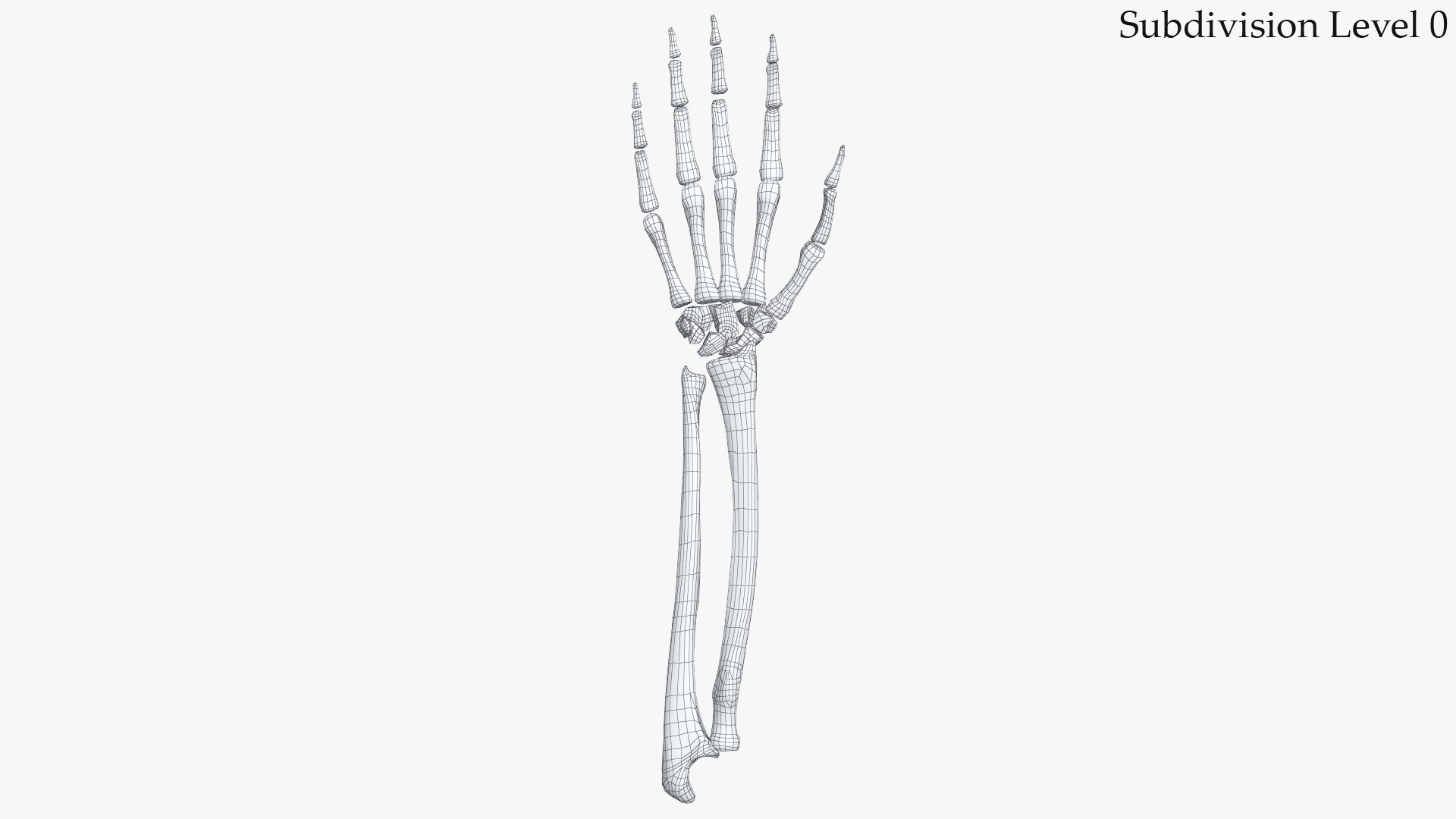 Arm Skeleton 3d 3ds