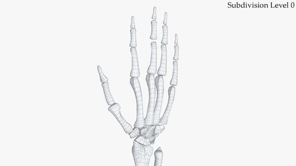 arm skeleton 3d 3ds