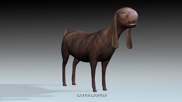 syrian goat 3d model
