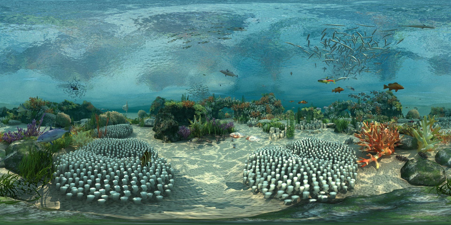3D Ocean Floor Coral Reefs - TurboSquid 1345106