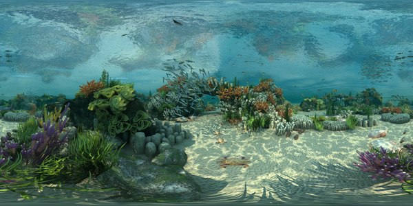 3D ocean floor coral reefs - TurboSquid 1345106