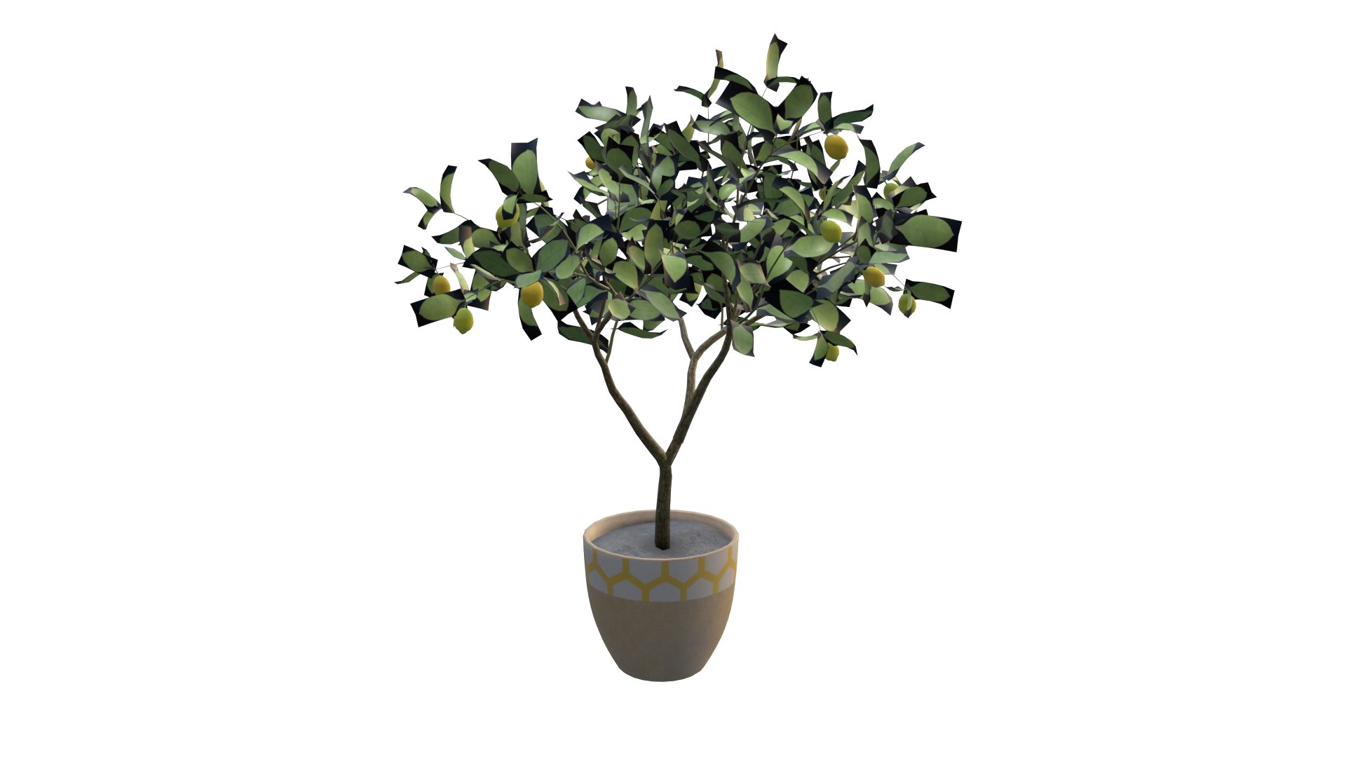 3D Potted Lemon Tree 3D Model - TurboSquid 2305124