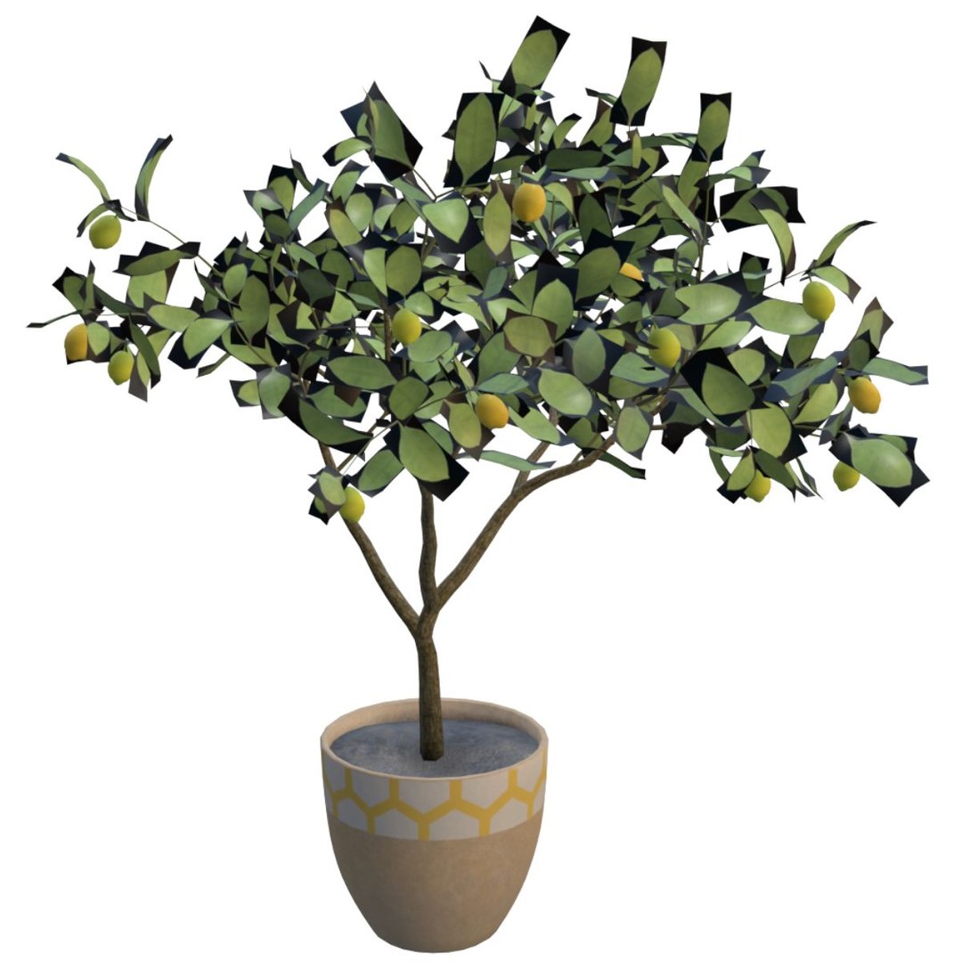 3D Potted Lemon Tree 3D Model - TurboSquid 2305124