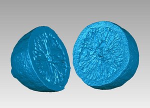 Lemon STL Models for Download | TurboSquid