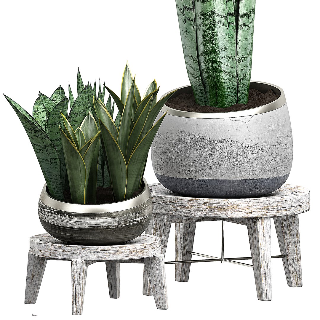 Potted plants set 41 3D model - TurboSquid 1562537