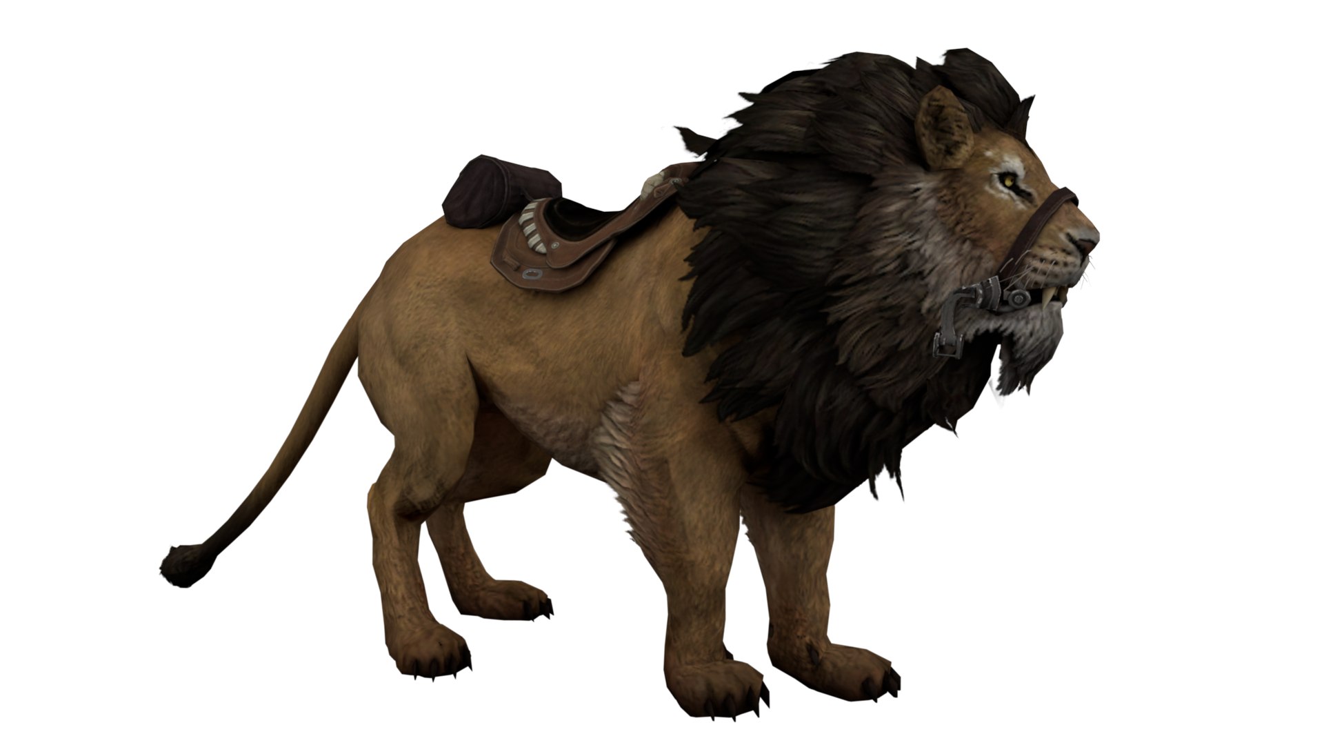 Lion RIGGED 3D Model - TurboSquid 2186683