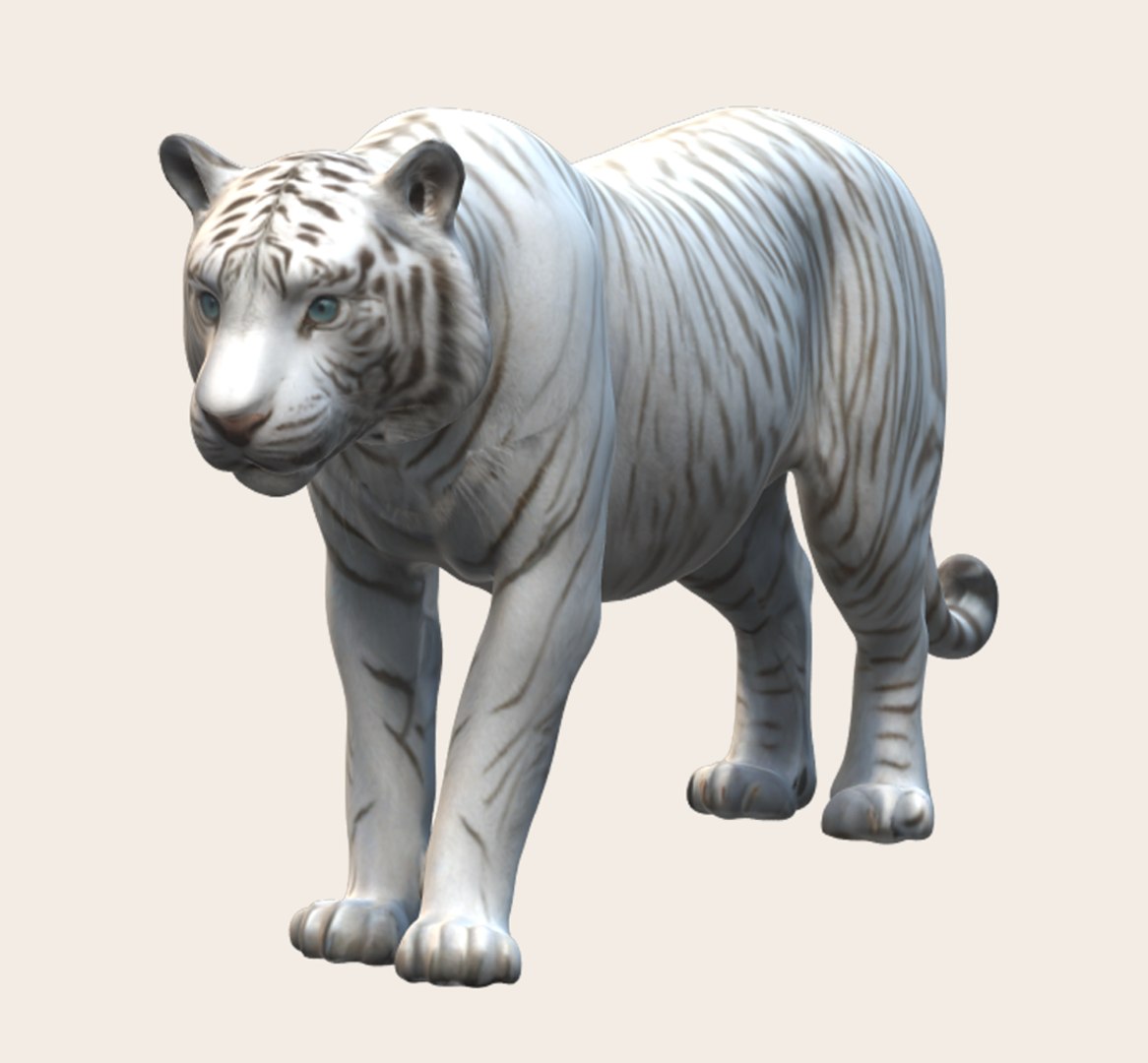 White Tiger 3D Model - TurboSquid 2324934