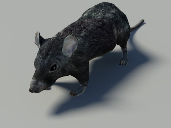 Free 3D Mouse Models | TurboSquid