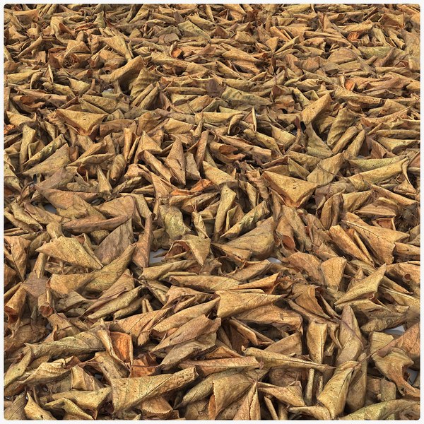 3D Dry Leaves Low Pile Scan 02 model - TurboSquid 1814230