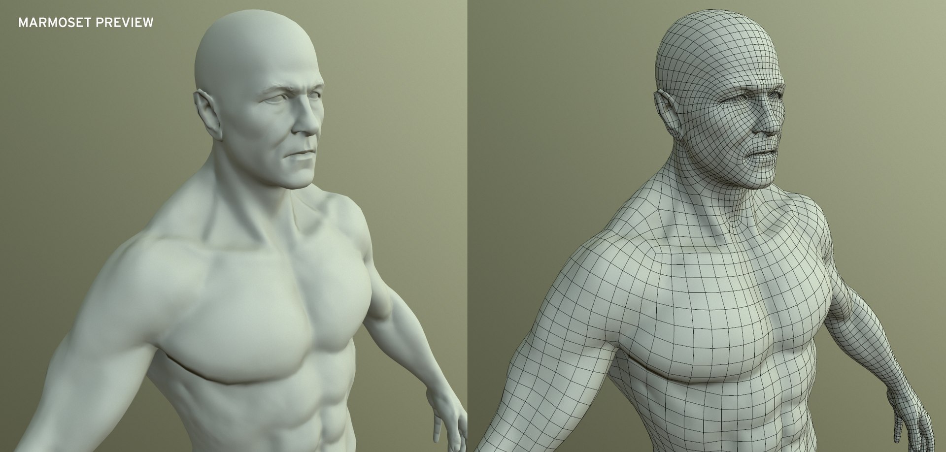 Base Male Mesh 3D Model - TurboSquid 1525132